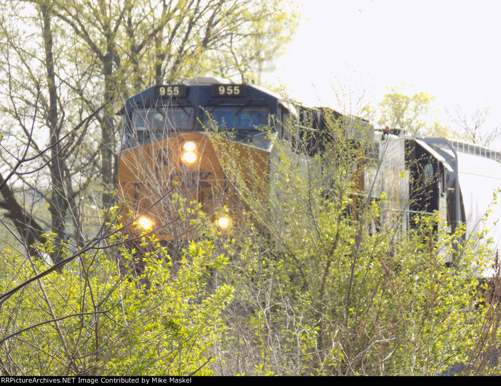 CSX 955